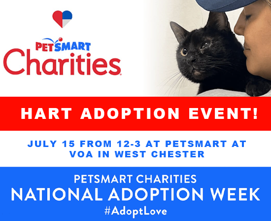 Hart Animal Rescue - Home