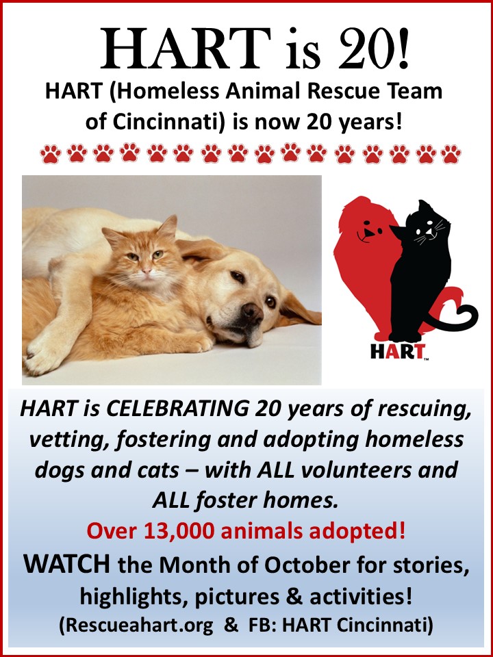 Hart Animal Rescue - Home